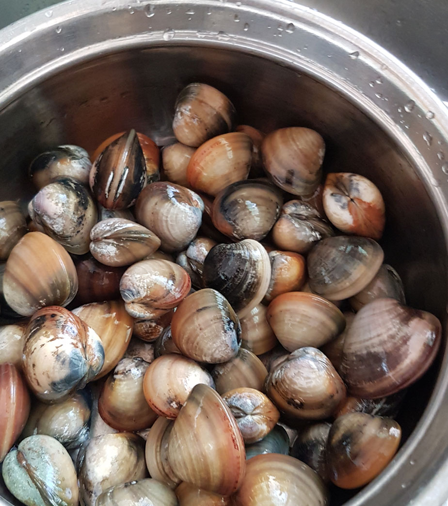 Owl Muses | Clams in White Wine with Butter and Garlic