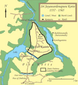 Owl Muses | The Kotte Kingdom and Its Key Components